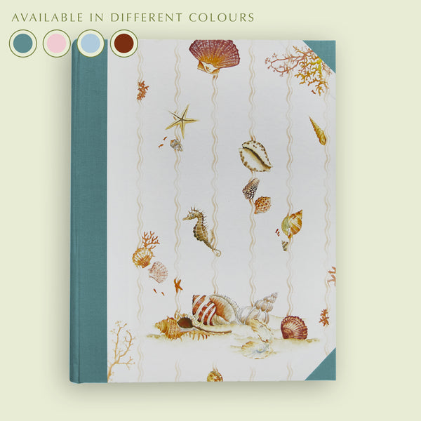 Shells on Shells Photo Album – Clementina Sketchbook