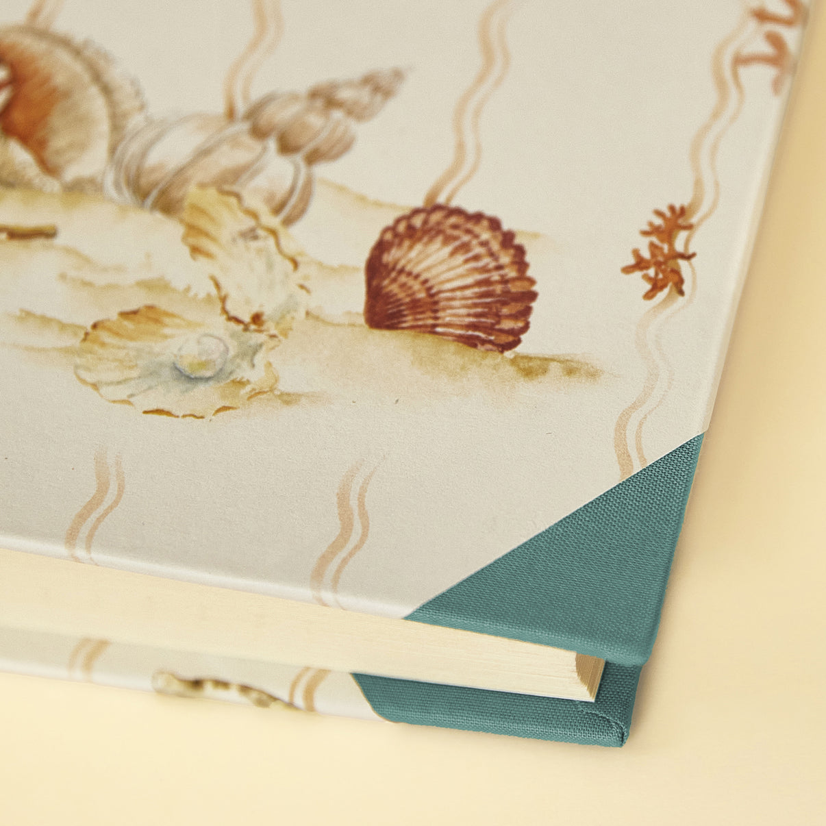 Shells on Shells Photo Album – Clementina Sketchbook