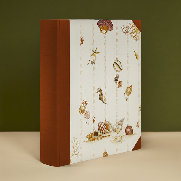 Shells on Shells Photo Album – Clementina Sketchbook