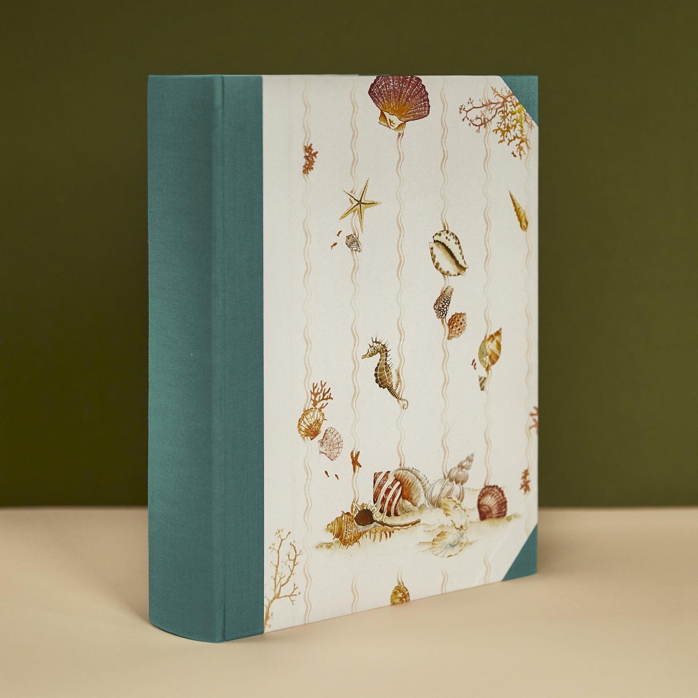 Shells on Shells Photo Album – Clementina Sketchbook